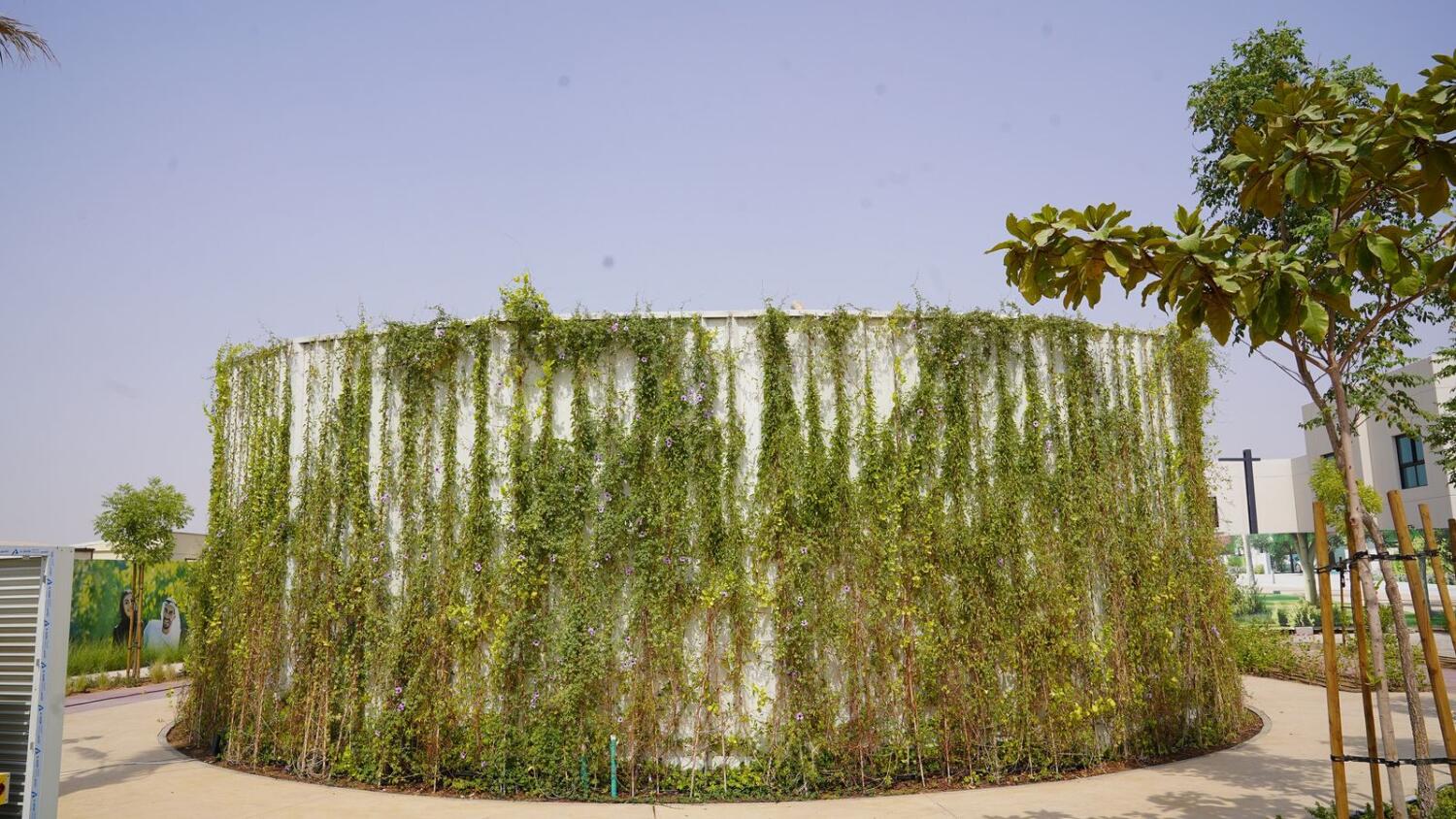 Sustainable Living in the UAE: Adopting Eco-Friendly Lifestyles