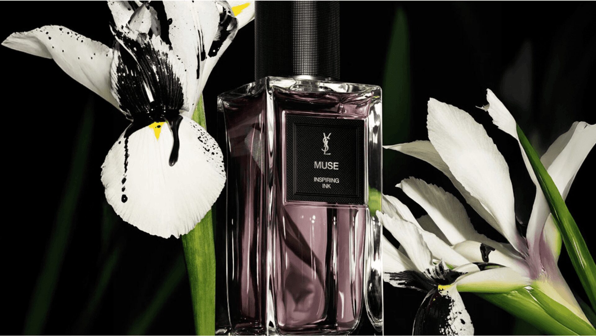 YSL Beauty Unveils Bold Unisex Fragrance ‘MUSE’ - Magzoid Magazine